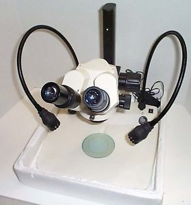 Buy -AMG Fisher Stereozoom Microscope and LED Lower/Upper Illumination ...