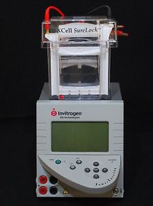 Buy -Invitrogen PowerEase 500 Electrophoresis Sysytem Power Supply ...