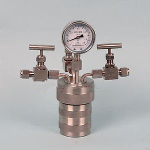Buy -100mL PTFE Lined Hydrothermal Acid Digestion Reactor with 1 Gauge ...