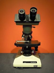 Buy -Olympus BHTU Series BH2 Compound Brightfield Microscope