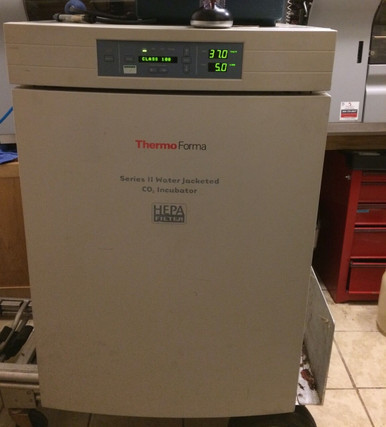 Buy -Thermo Forma Series II Laboratory Water Jacketed CO2 Incubator ...
