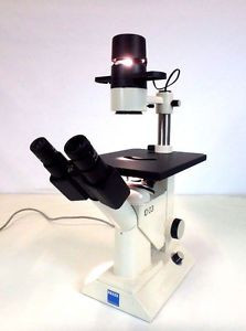 Buy -Carl Zeiss Invertoscope Inverted Binocular Microscope ID 03 w ...