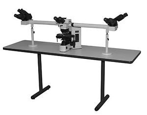 Buy -Leeds 5-headed Microscope H Design Table