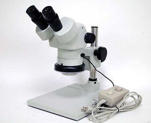 Buy -Carton Zoom Stereo Microscope DSZ75