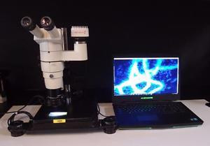 Buy -Nikon SMZ800 Stereo Zoom Inspection Microscope + Infinity 1 Camera ...