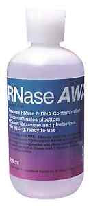 RNase AWAY 1 LITER BOTTLE - SPW Industrial
