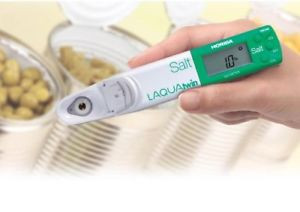 Horiba Laquatwin 3200456564 Model B-721 Compact Salt Meter New - SPW ...