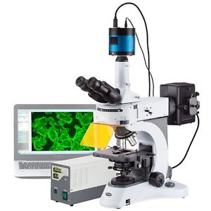 40X-1000X Upright Fluorescence Microscope with Rotating Multi-filter ...