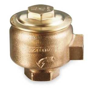 Steam Trap Nicholson A-B1D9A - SPW Industrial