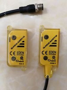 Buy- 1Pc Eden Adam E+Eva E 0-12 0.5M For Abb Non-Contact Safety Sensor