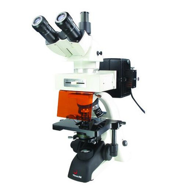 Phenix Microscope LED3W 40X 1600x fluorescence trinocular microscope ...