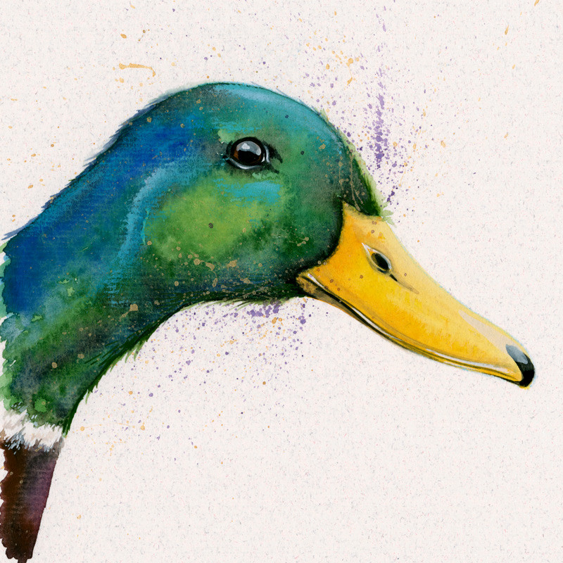 Peeking Duck - The Event Gallery Fine Art Ltd