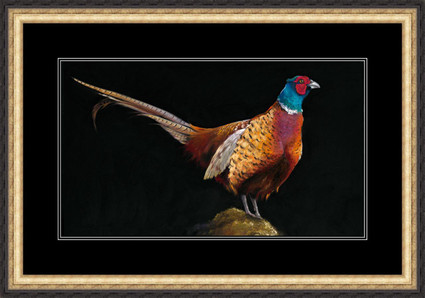 A Pheasant View - The Event Gallery Fine Art Ltd