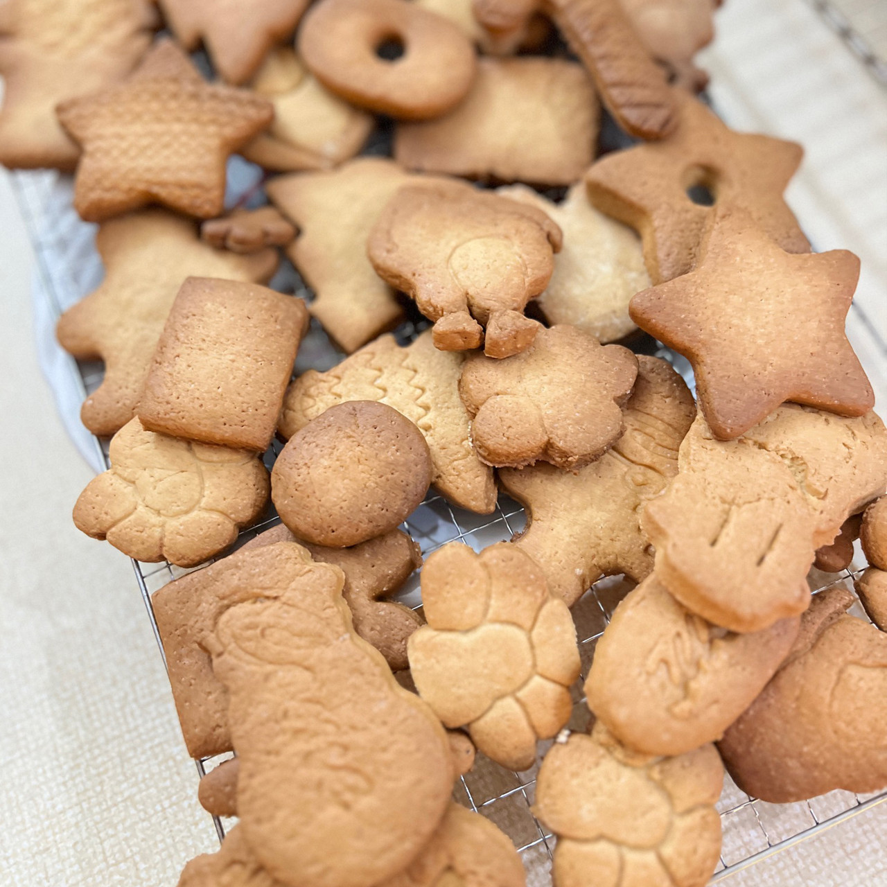 3D Print Turkey cookie cutter set