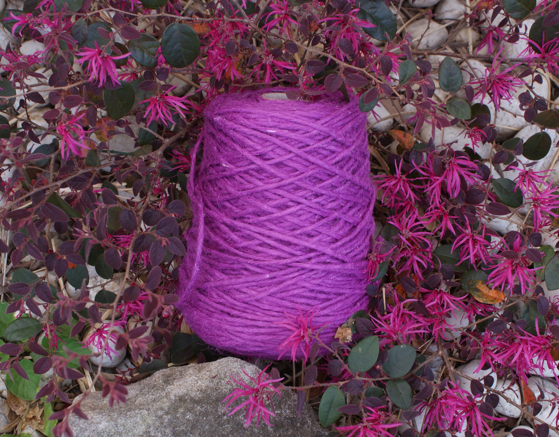 The Yarn Hub