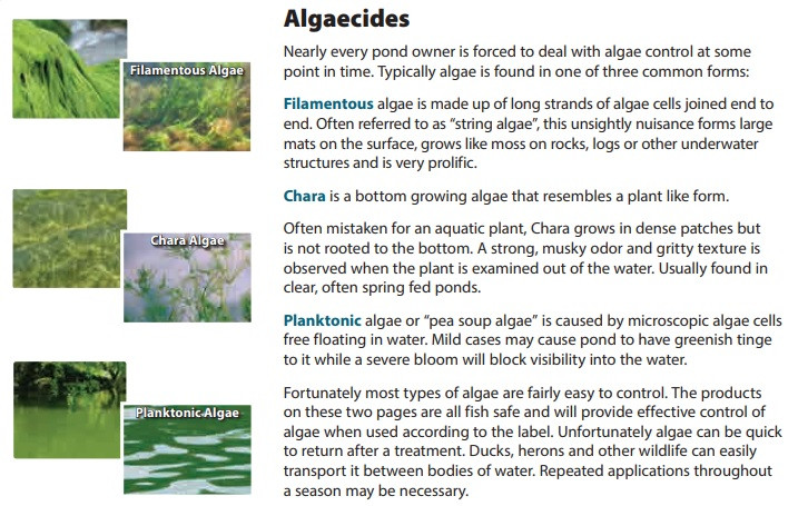 EarthTec Algaecide - 2.5 Gallon : Pond Water Treatment Supplies : Pond ...