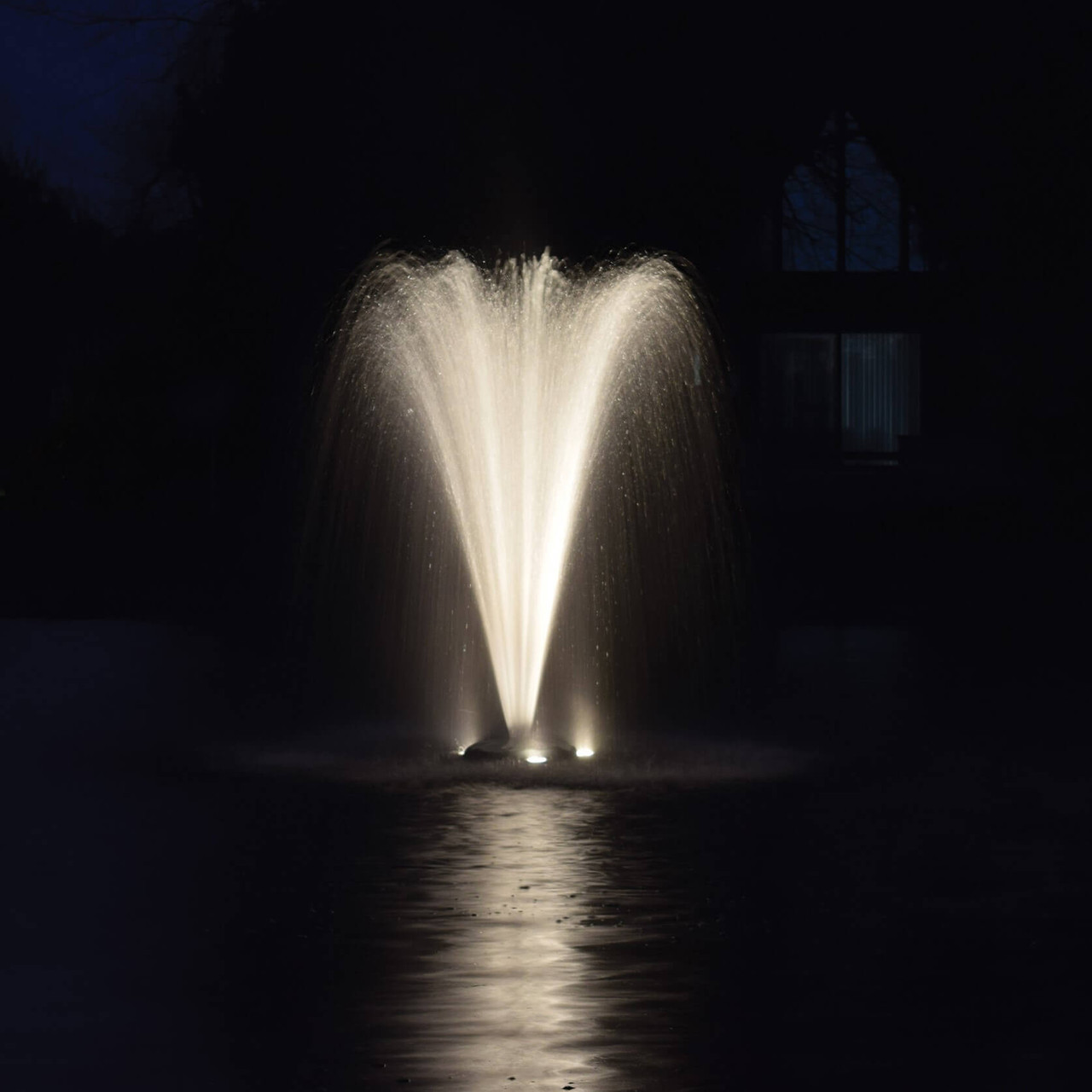 4 Light EasyPro AquaShine Stainless Steel LED Light Kit : Lake ...