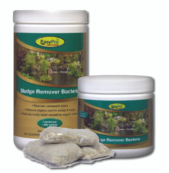 EasyPro Sludge Remover Bacteria - Dry Powder : Pond Bacteria Control ...