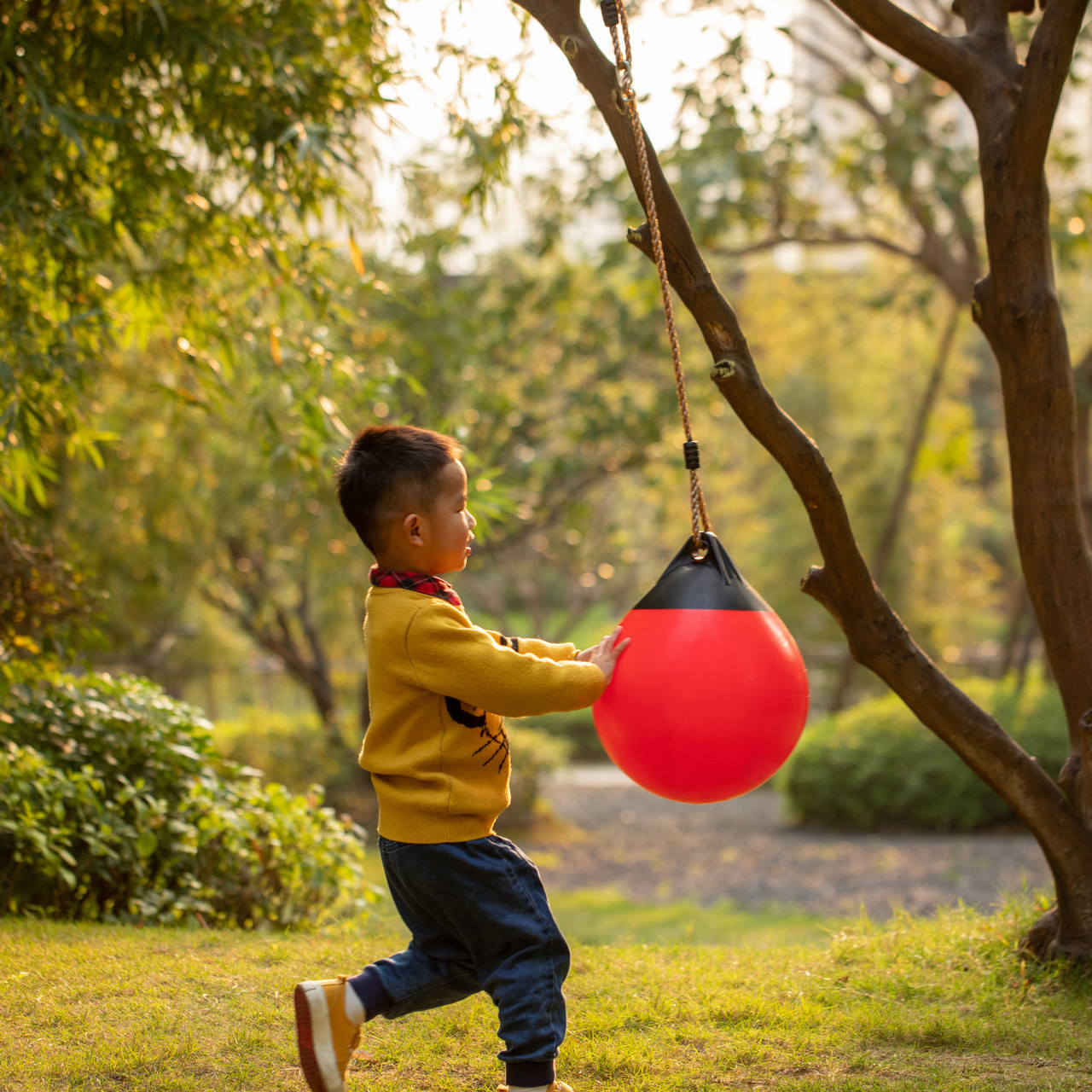 Red Outdoor Patio Playground Hanging Adjustable Ball Round Swing ...