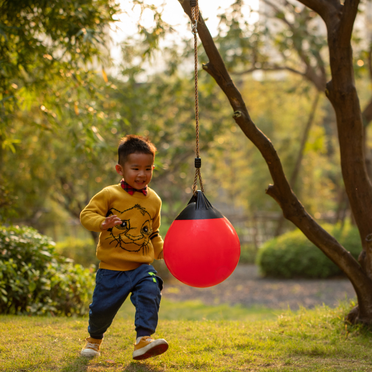 Red Outdoor Patio Playground Hanging Adjustable Ball Round Swing ...