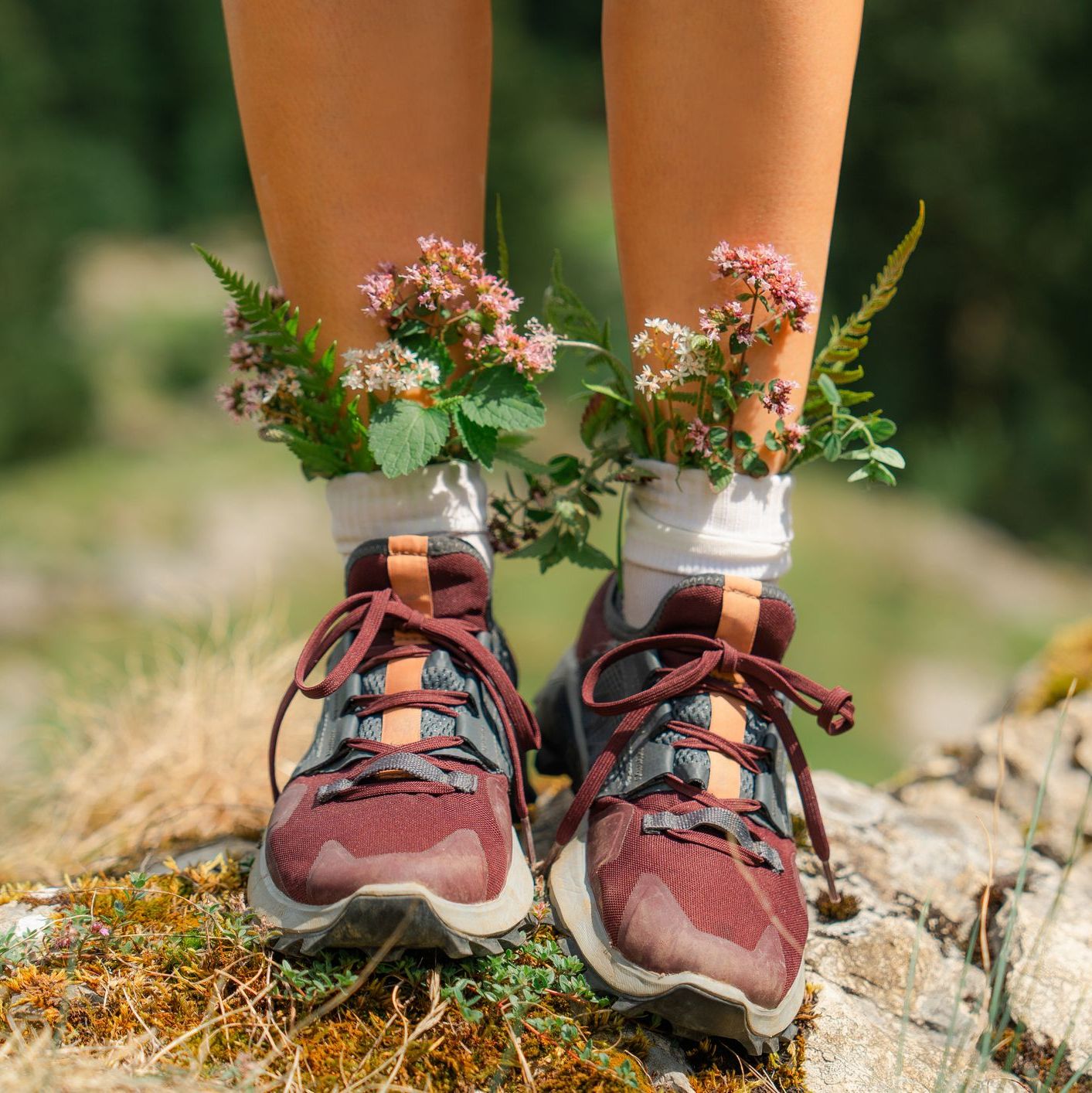 Your Guide to Comfortable & Cool Summer Socks - Warrior Alpaca Socks