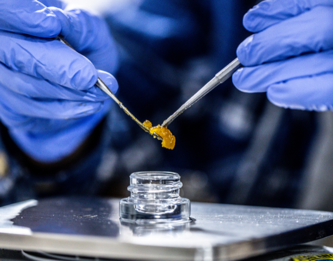 What is live resin with THC? - Pro Cannabis