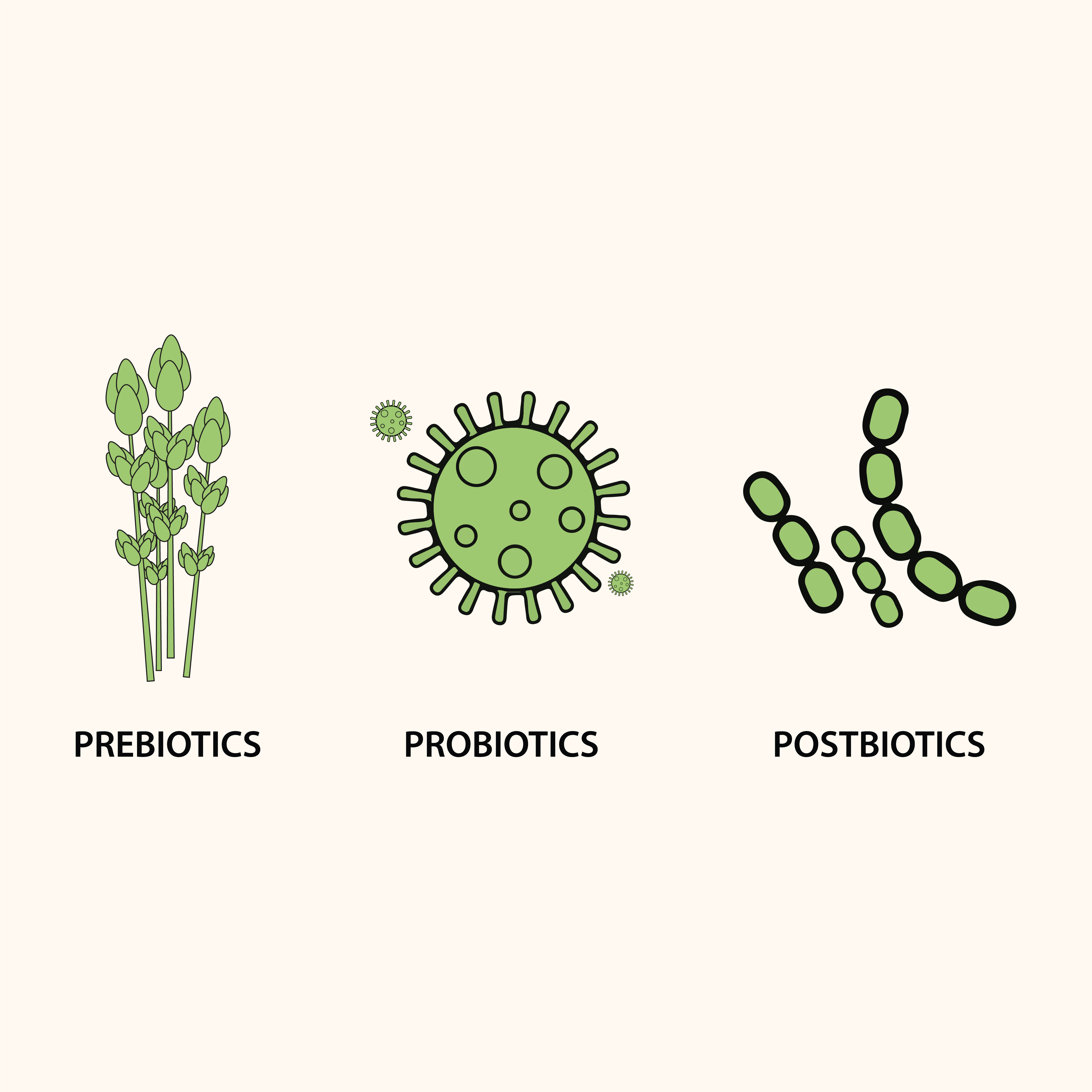 Probiotics, Prebiotics, and Postbiotics: What’s the Difference? - Earth ...