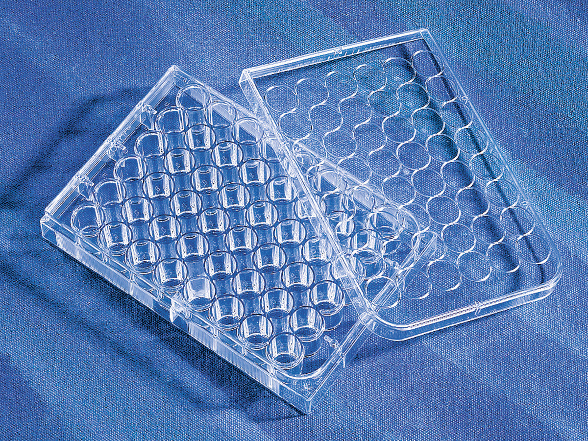 Corning® 3548 Costar® 48-well Clear TC-treated Multiple Well Plates ...