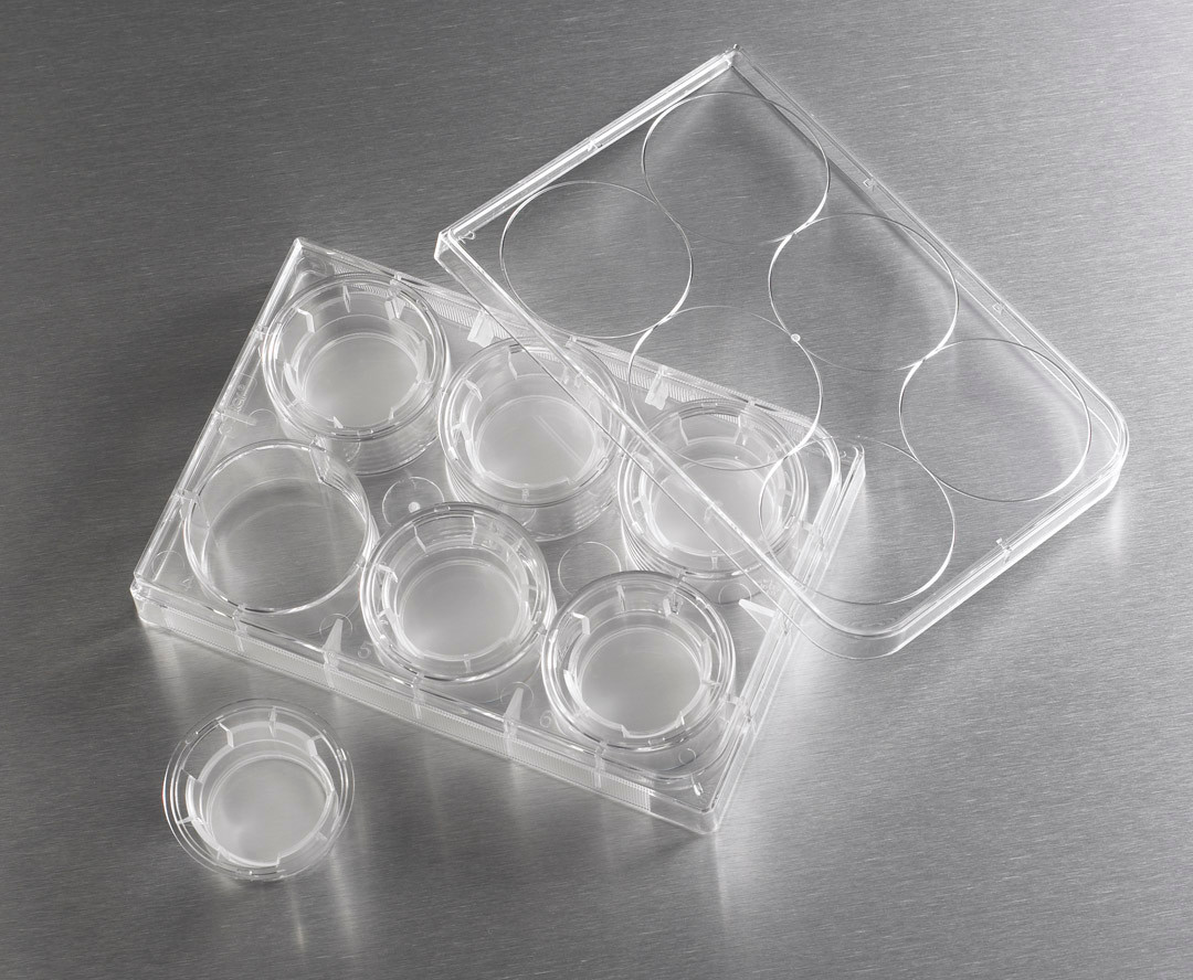 Corning 3450 24 mm Transwell® with 0.4 µm Pore Polyester Membrane ...