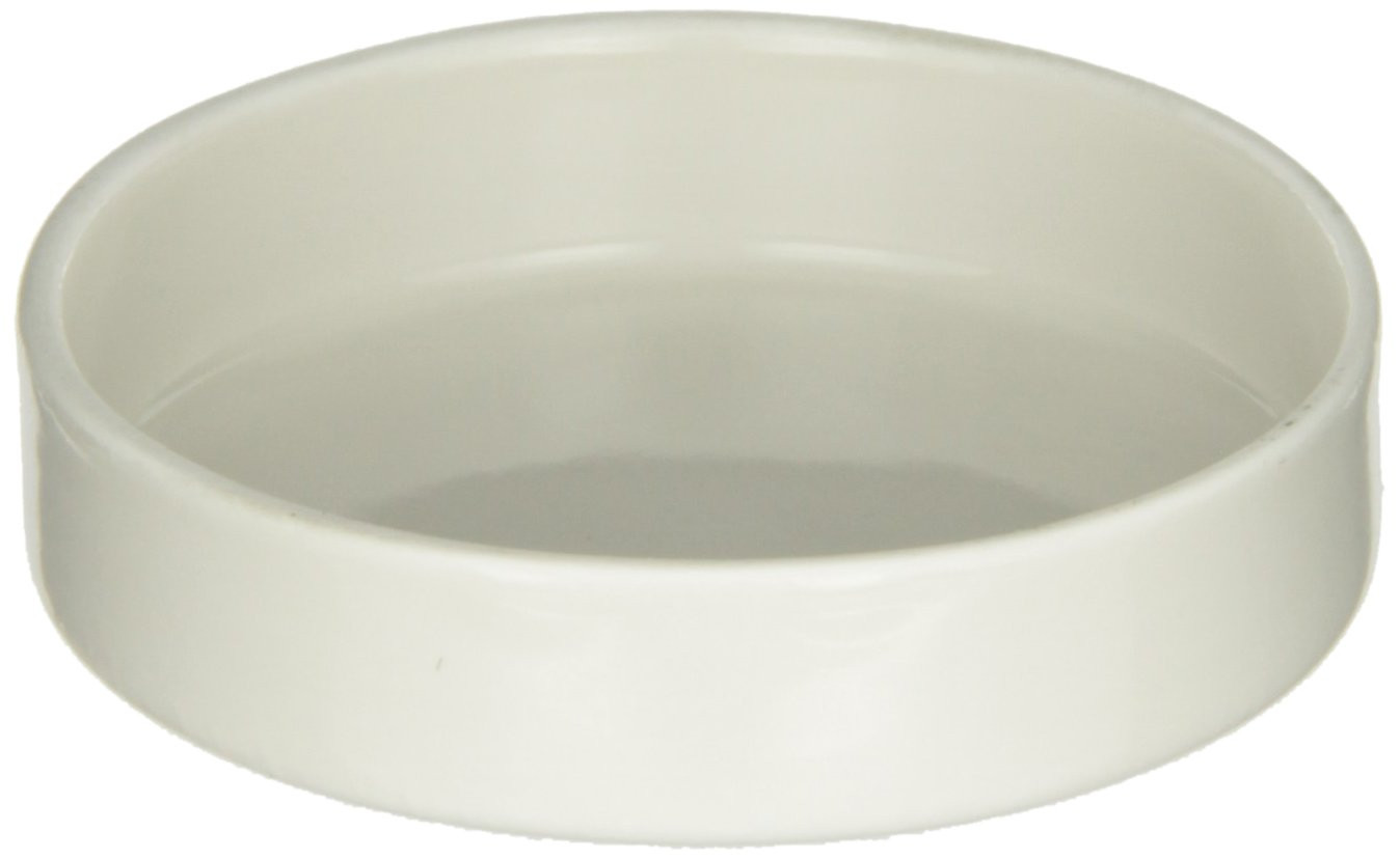 CoorsTek 66050 Porcelain Capsule Crucible with Flat Bottom, 25mL ...