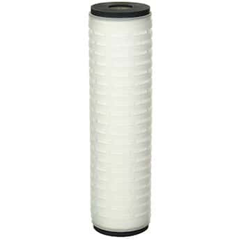 Thermo Scientific Barnstead FL583X5 0.45 Micron Final Filter for 1/2 ...