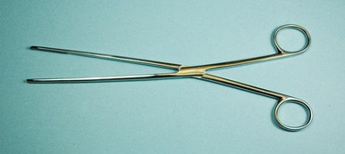 Specimen Forceps, Stainless Steel - D2095 | General Laboratory Supply