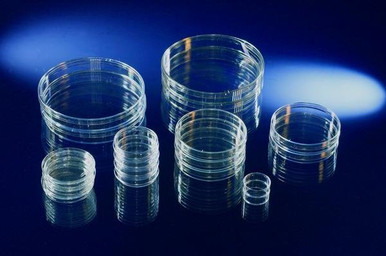 Nunc 384 Well Plate and OmniTray - B3711-2 - General Laboratory Supply