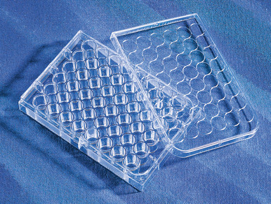 Corning® 3338 CellBIND® 48-well Multiple Well Plates, Flat Bottom ...