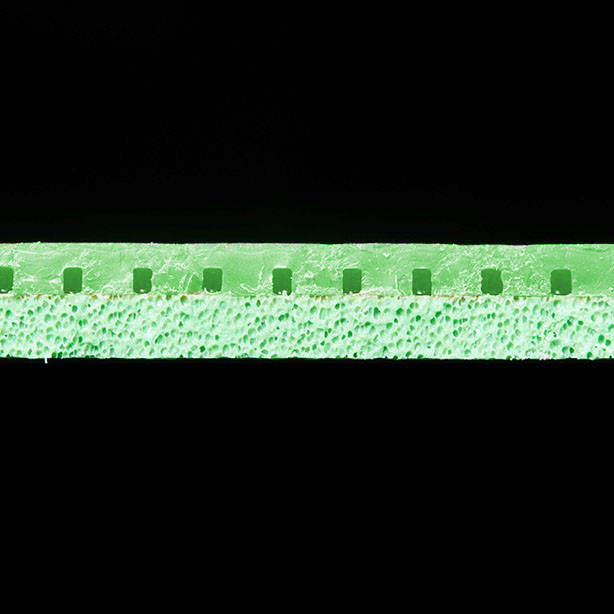 Andro Rasanter R45 Rubber - Ping-Pong Depot