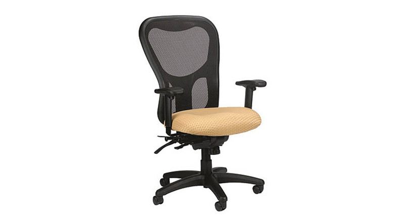 Eurotech Apollo MM95SL Mesh Chair | Shop Mesh Chairs