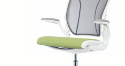 The Humanscale Diffrient World Chair Review - Human Solution