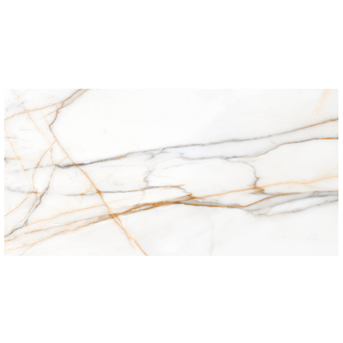 Marble Ridge Italia Oro Matte 24x48 - Tiles Direct Store
