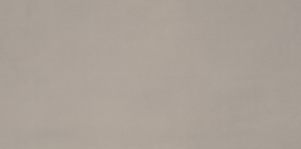 Neoconcrete Light Gray Matte Porcelain 12x24 - Tiles Direct Store