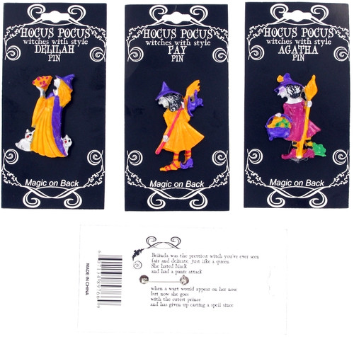 Hocus Pocus Witch Poem Pins