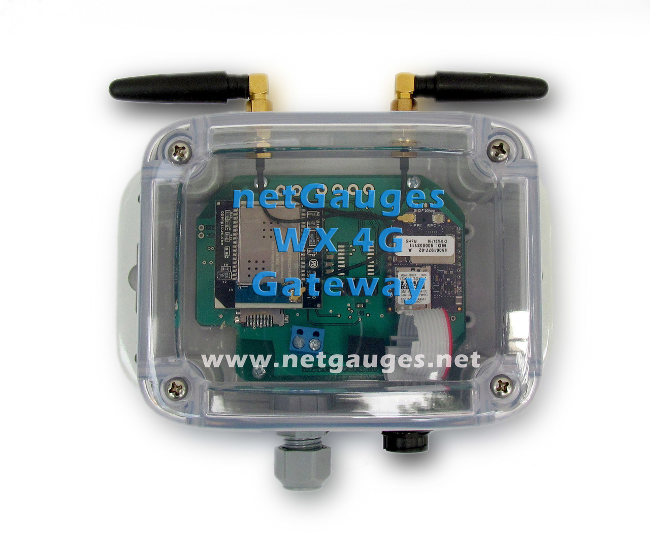 netGauge Mesh Network Gateway - netGauges