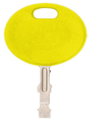 Cub Cadet Replacement Ignition Key - 925-1745a - Forester Shop