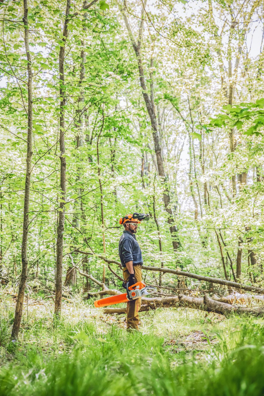 Stihl MS391 Farm & Ranch Gas Powered Chainsaw - Forester Shop