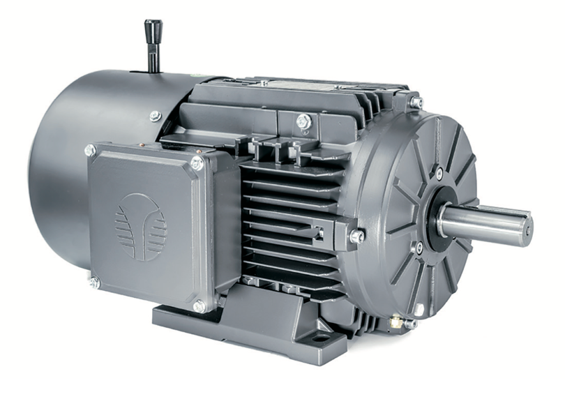 10HP 1800RPM 215T - Brake Motor