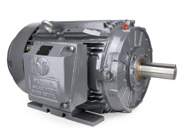 15 Horsepower | Shop by Horsepower | Electric Motors