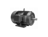 TC-Frame Three Phase | electric Motors
