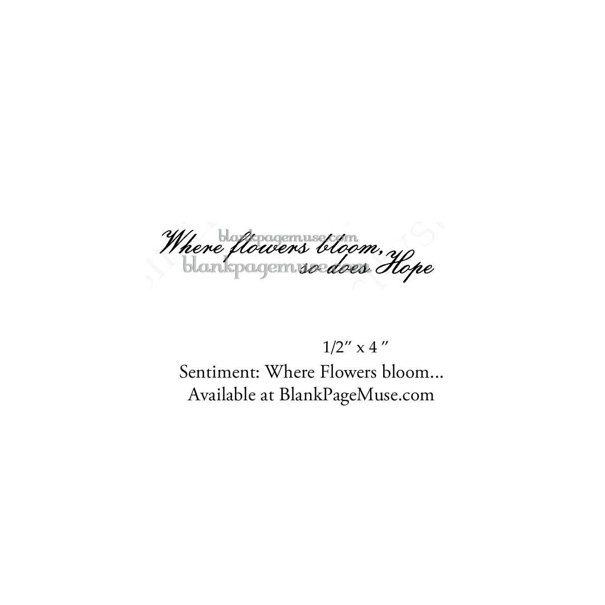 Where flowers bloom so does hope sentiment words art rubber stamp