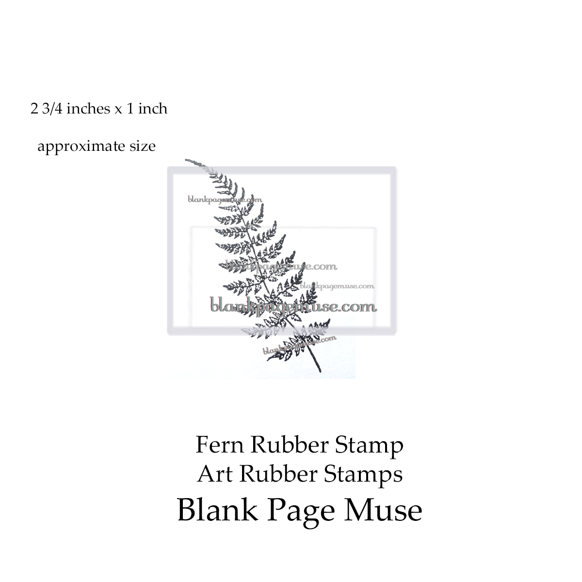 Fern Art Rubber Stamp IBFSRB10-01