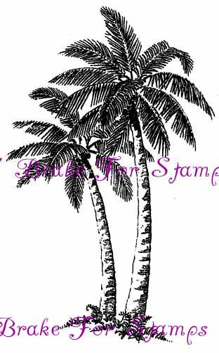 Large Palm Trees - Blank Page Muse Art Rubber Stamps