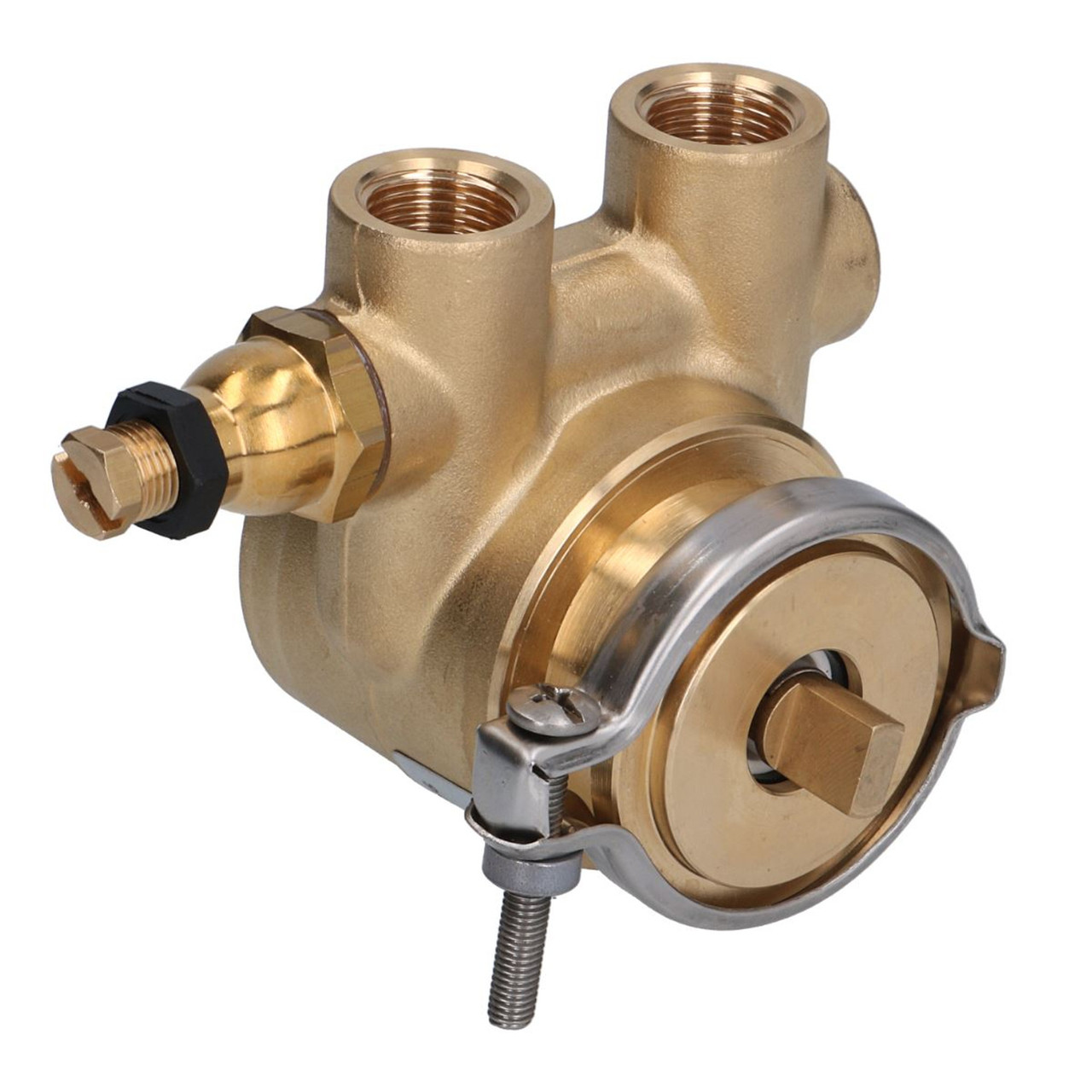 Rotary Vane Pump - Clamp 58.5mm - 3/8" BSP/GAS - Flat Shaft - 100 L/h ...